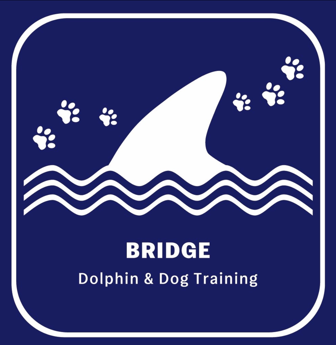 ホームページにギャラリーを追加しました - BRIDGE / Dolphin ＆ Dog Training